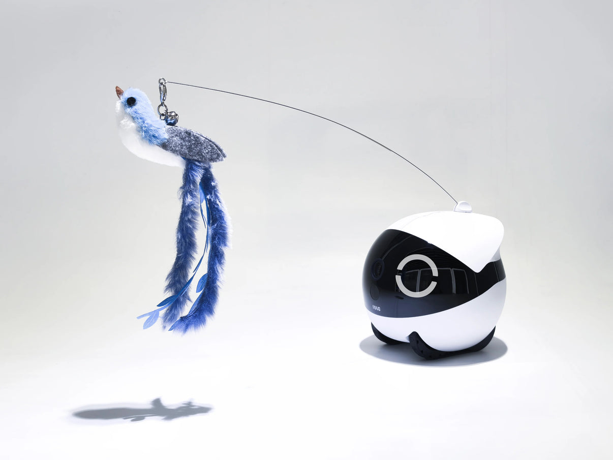 ROLA Mini 愛犬・愛猫・家族のコンパニオンロボット – WTP.Japan